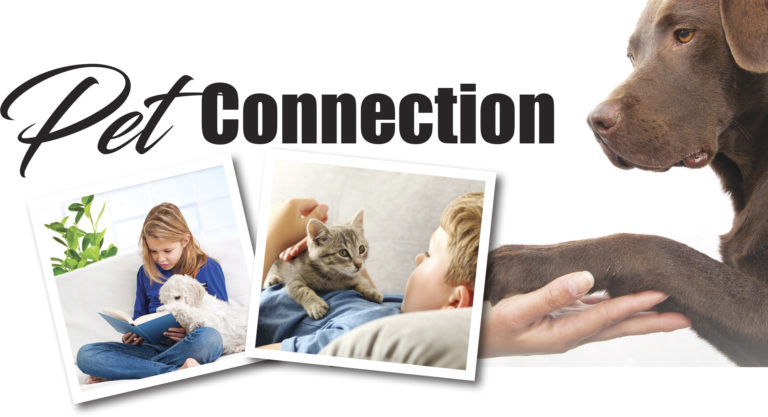 Pet Connection